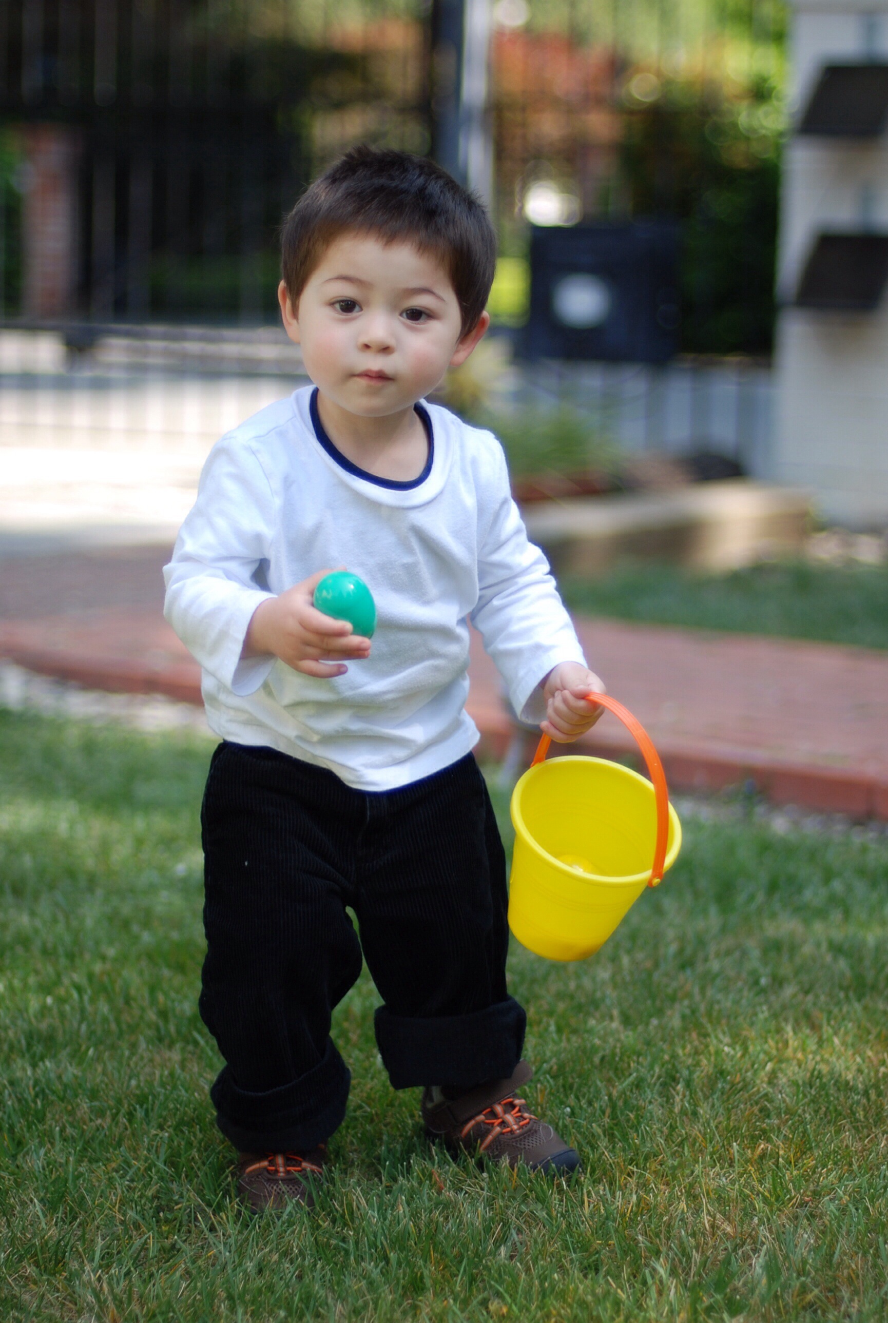 Apollo Lester | Born May, 2012